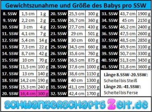 20. SSW: Entwicklung, Größe & Gewichtszunahme im Bauch